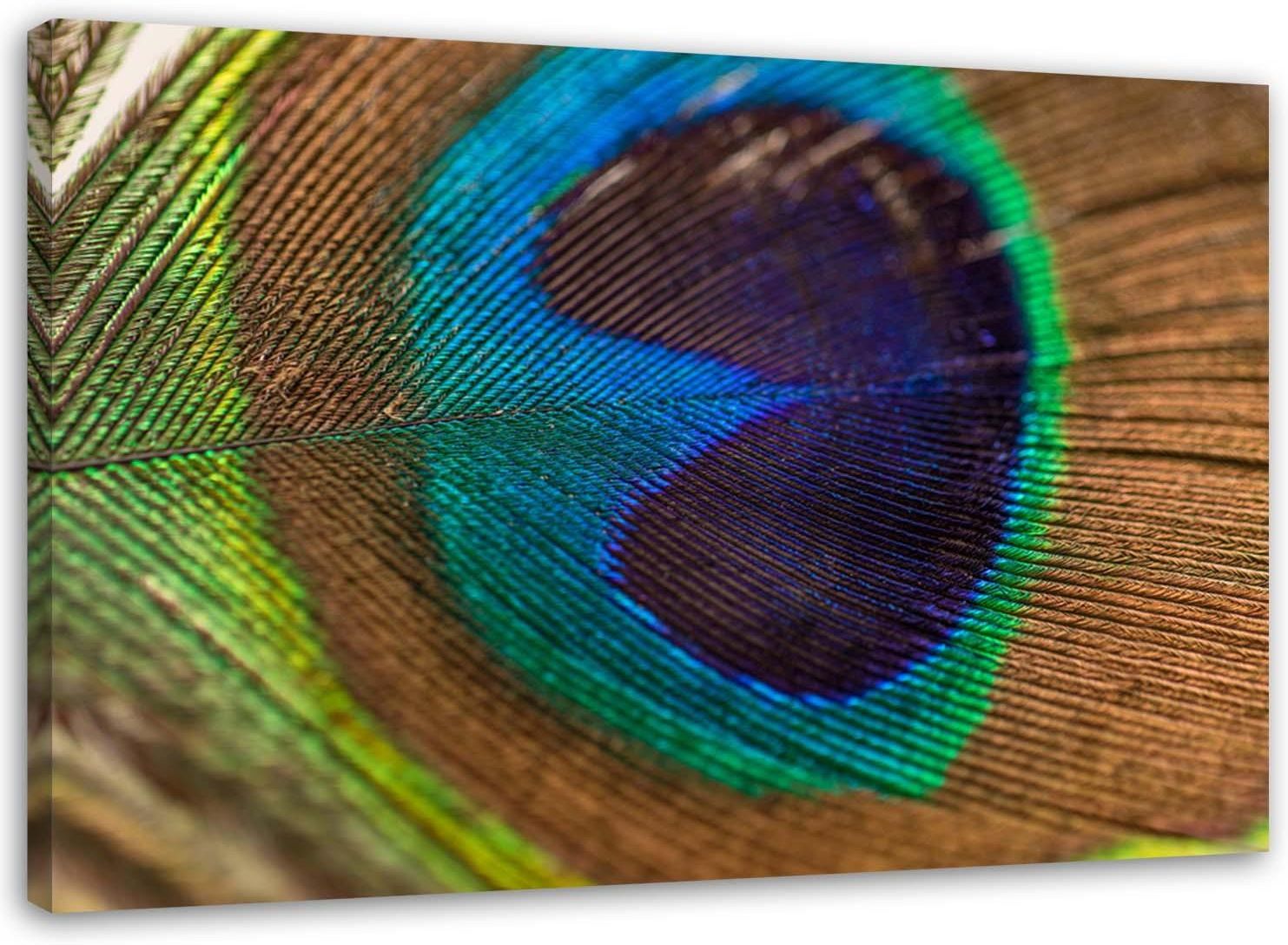 Feeby Obraz Na Płótnie Pawie Oczko 90X60 - Opinie i atrakcyjne ceny na ...