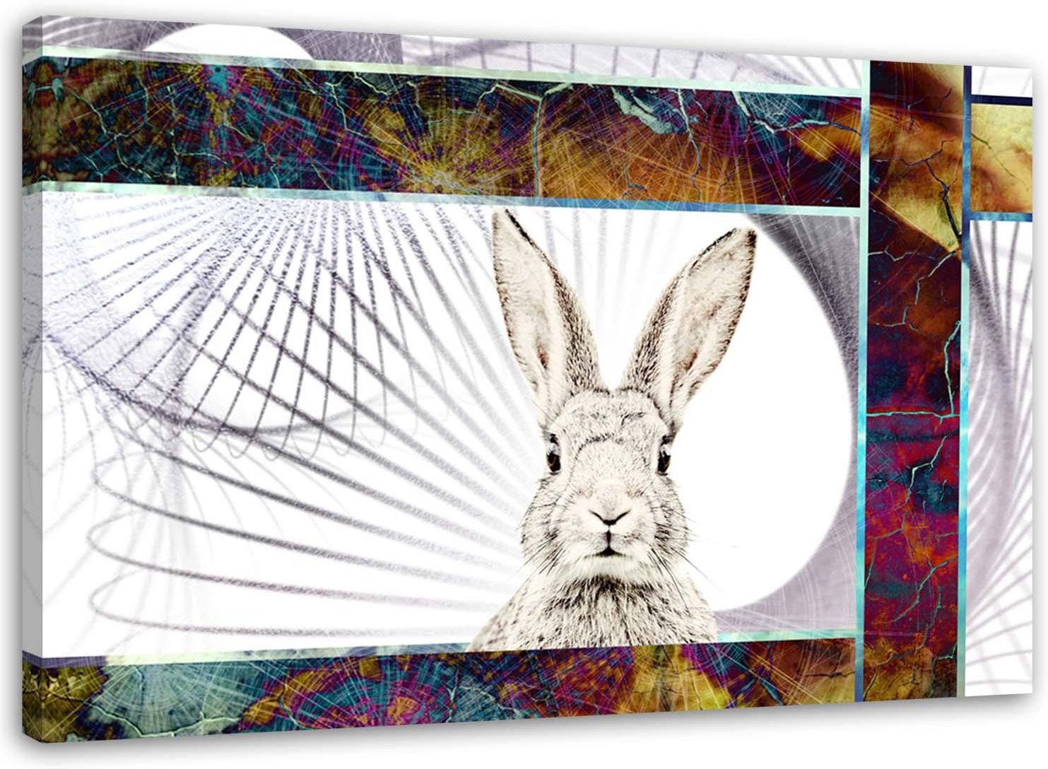 Feeby Obraz Na Płótnie Kolorowy Królik Dla Dzieci 100X70 - Opinie i ...