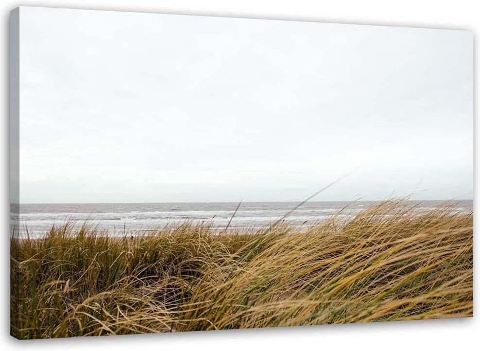 Feeby Obraz Na Płótnie Trawa U Brzegu Morza 60X40 - Opinie i atrakcyjne ceny na Ceneo.pl