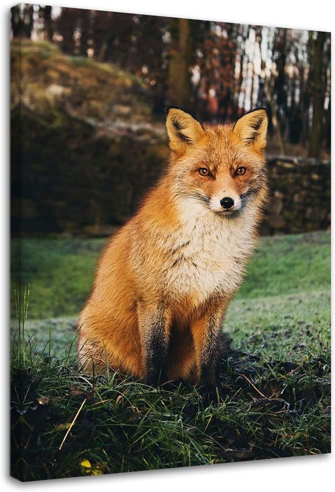 Feeby Obraz Na Płótnie Lis W Lesie 70X100 - Opinie i atrakcyjne ceny na ...