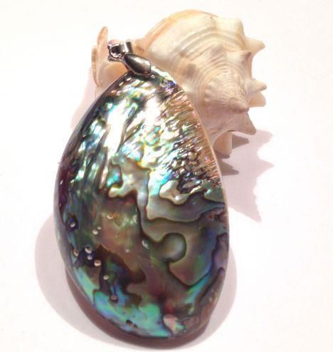Muszla Paua Abalone 36-37x 53-62x12-14mm Zawieszka Duża 1szt. KN0329 ...
