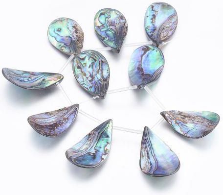 Image-Arte.Pl Muszla Naturalna Abalone Paua 35-39x19-23x3-6mm Drop 1szt ...