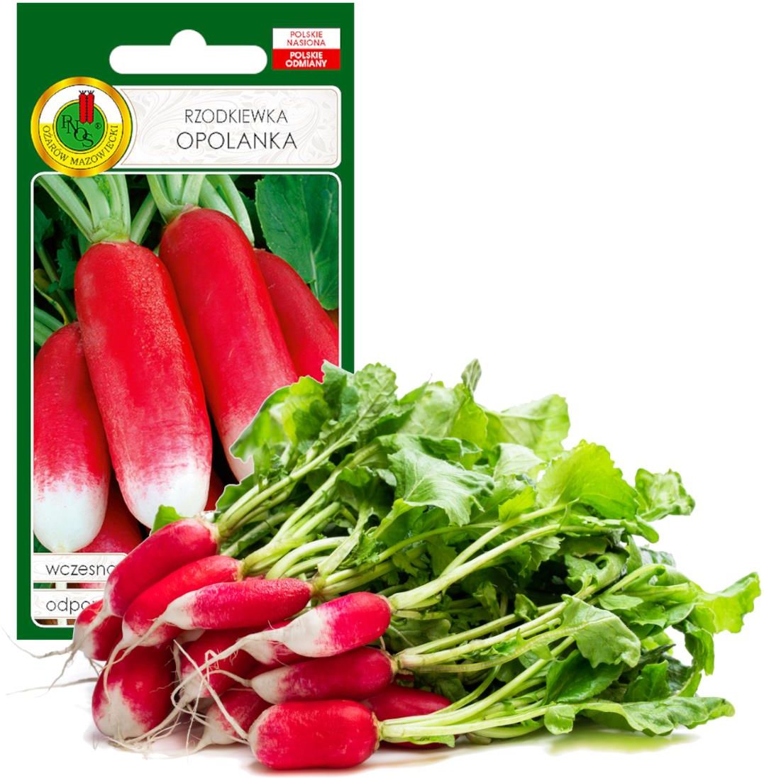 Rzodkiewka Opolanka Wczesna Podłużna Nasiona Bez Gmo 10g - Ceny i ...