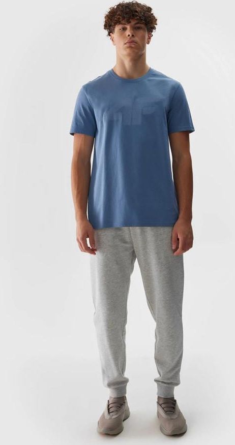 T-shirt 4F 4FWSS24TTSHM1155 32S : Rozmiar - L - Ceny i opinie - Ceneo.pl