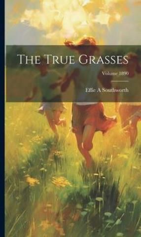 The True Grasses; Volume 1890 - Literatura obcojęzyczna - Ceny i opinie ...