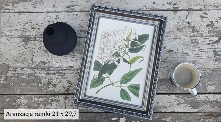 Ramka tradycyjna Manufaktura Ram 30X40 Pp A4 Bronisław Srebrny - Ceny i ...
