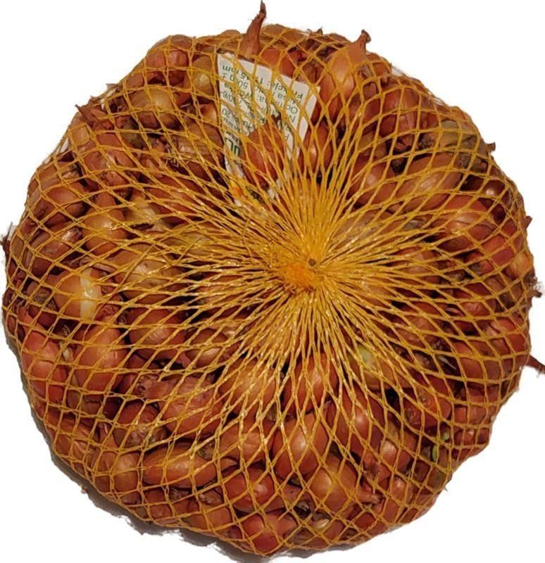Cebula Dymka Wolska I 0,5kg - Ceny i opinie - Ceneo.pl