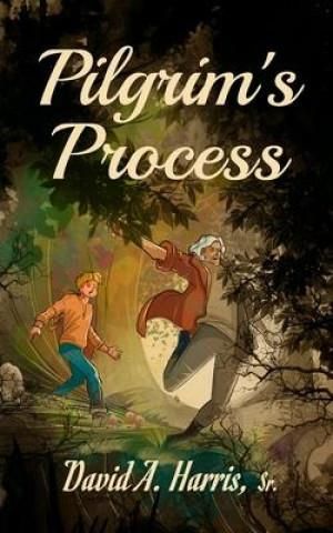 Pilgrim's Process - Literatura obcojęzyczna - Ceny i opinie - Ceneo.pl