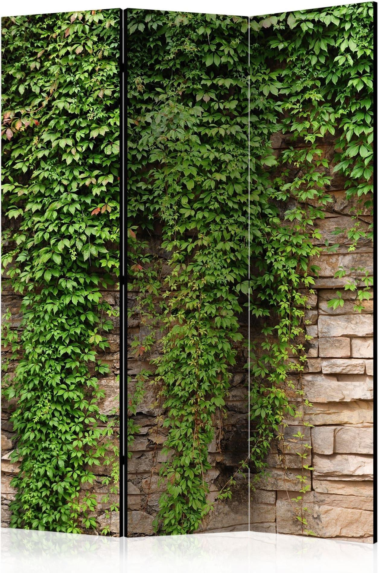 Artgeist Parawan Ściana Bluszczu Room Dividers 135X172 Akustyczny ...