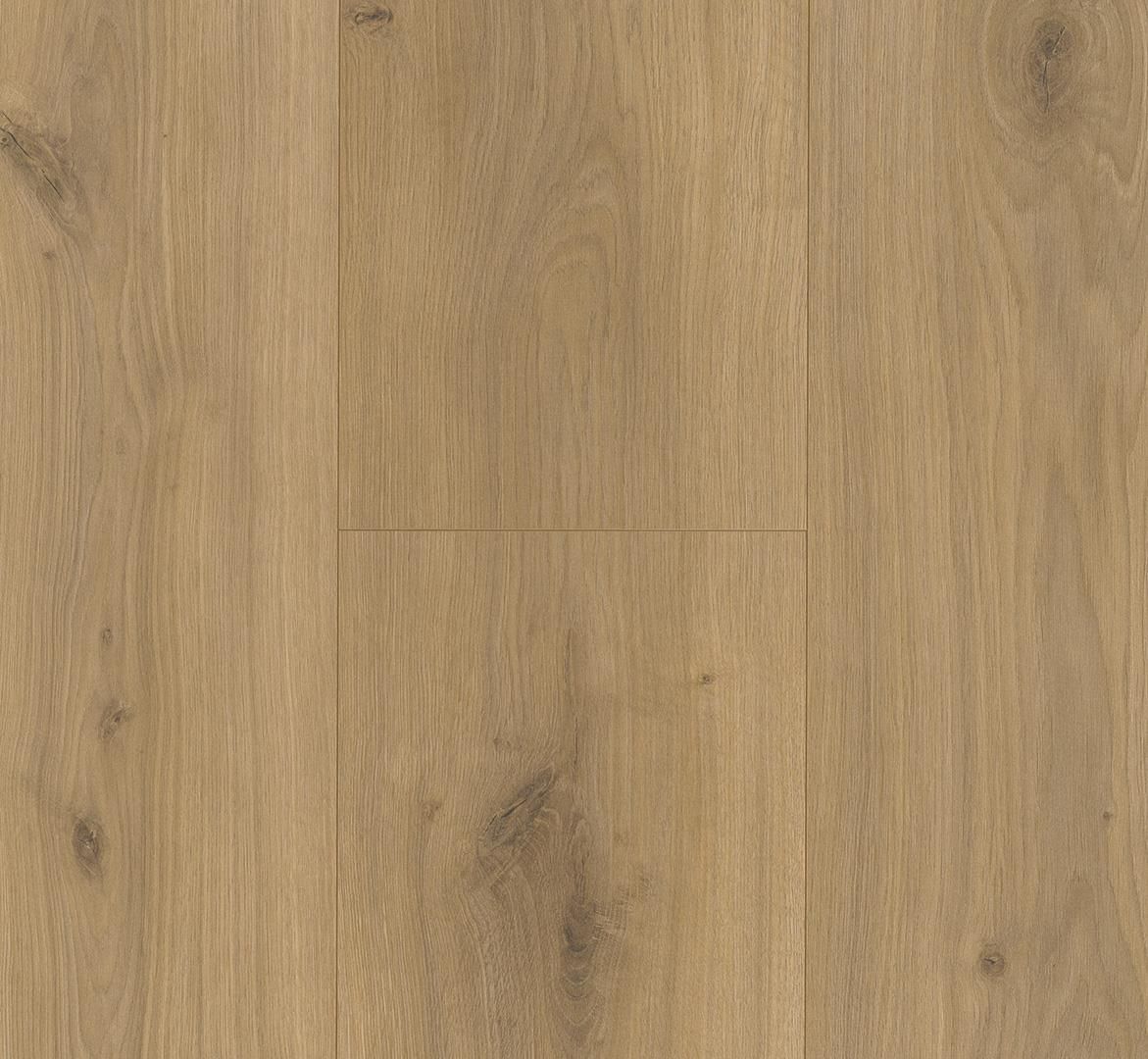 Panele Laminowane Parador Laminowany Basic 600 4V Dąb Horizont ...