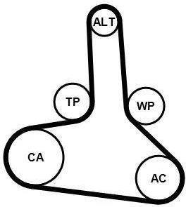 Contitech Pasek Rozrządu Continental Ctam Ct1245 - Opinie i ceny na ...