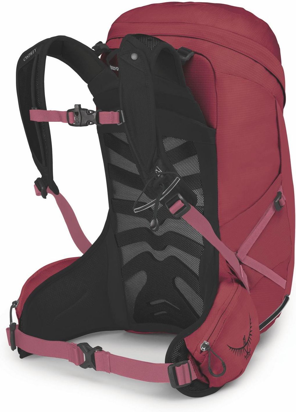 Plecak Osprey Damski Tempest 24 Kakio M L - Ceny i opinie - Ceneo.pl