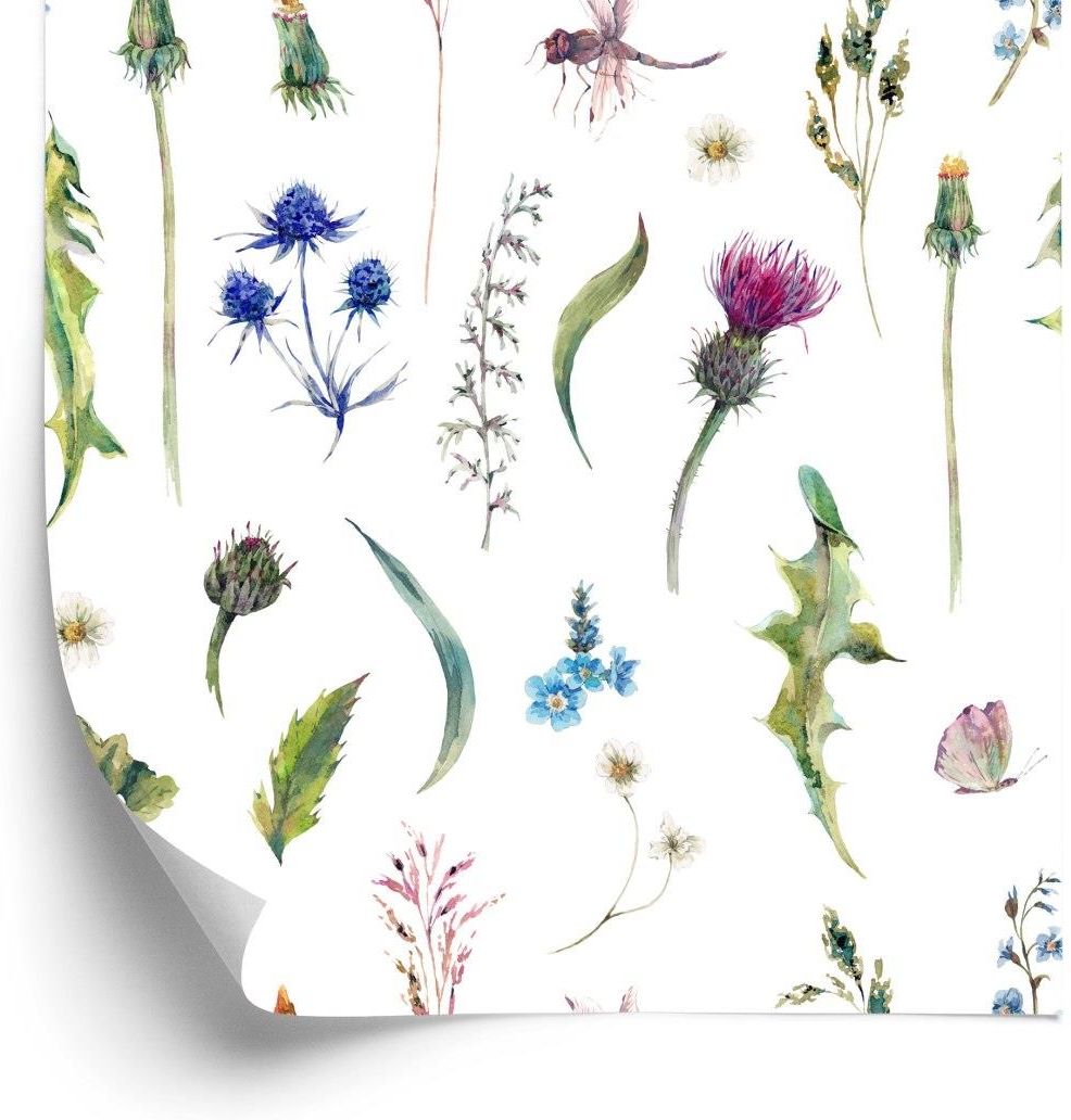 Tapeta Zioła Polne Z Motylami - Opinie i ceny na Ceneo.pl