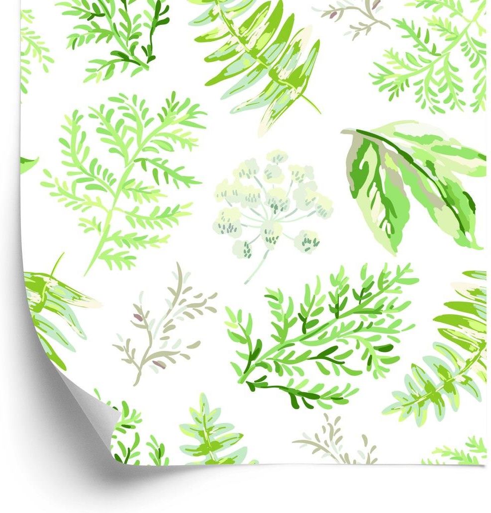 Tapeta Polne Zioła I Roślinność - Opinie i ceny na Ceneo.pl