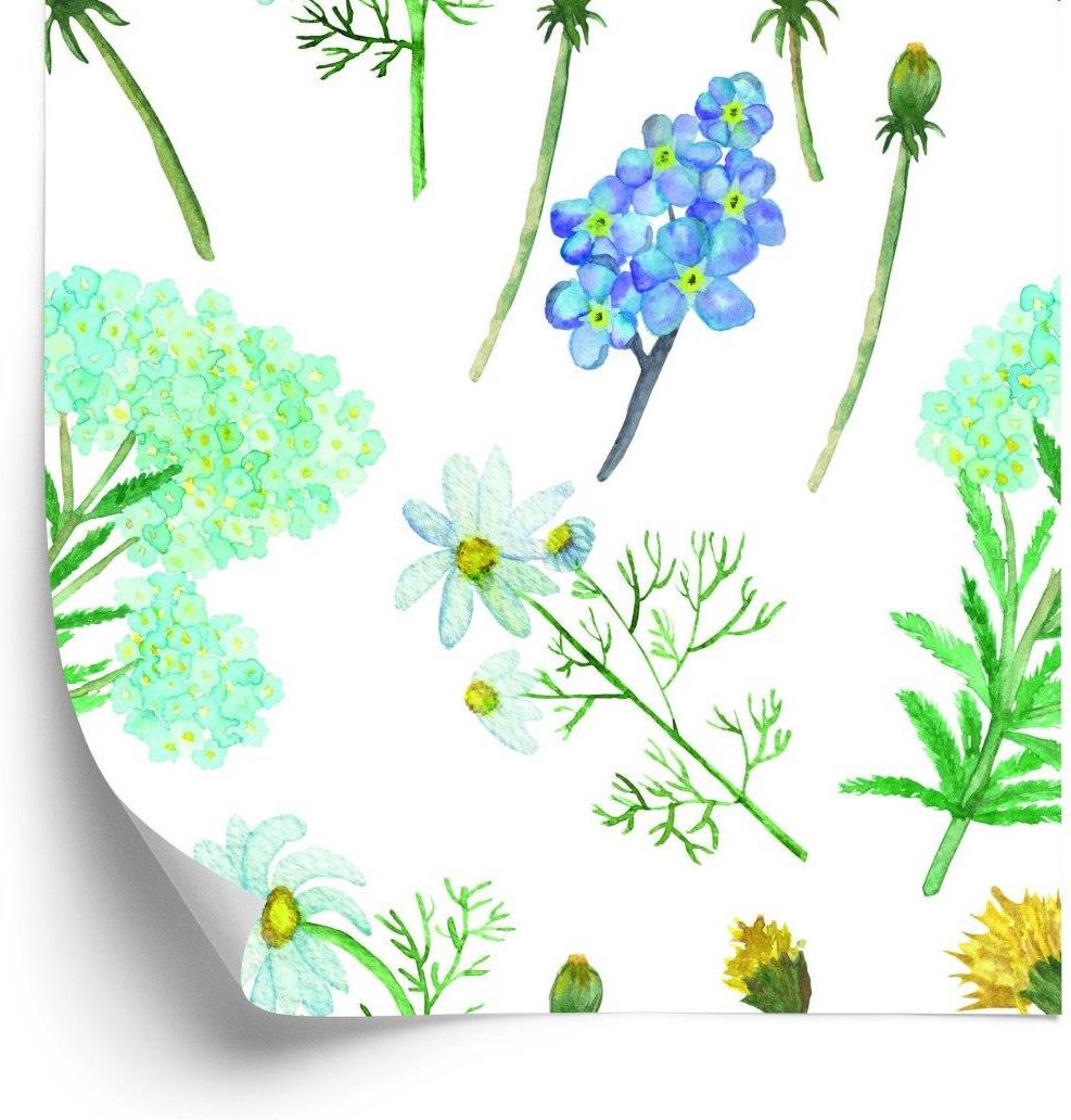 Tapeta Kwiaty I Zioła Polne - Opinie i ceny na Ceneo.pl