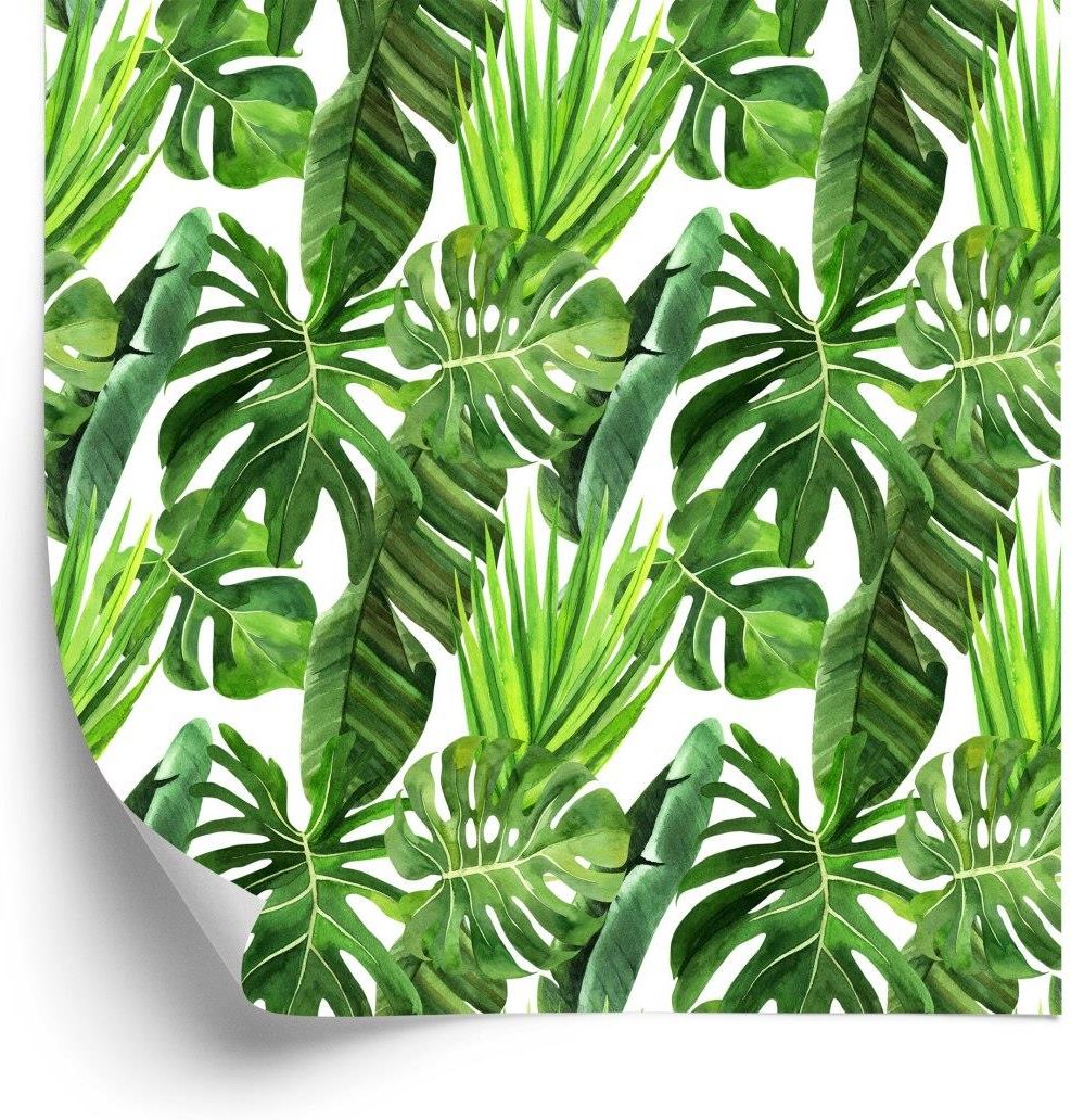 Tapeta Zielone Liście Palmy - Opinie i ceny na Ceneo.pl