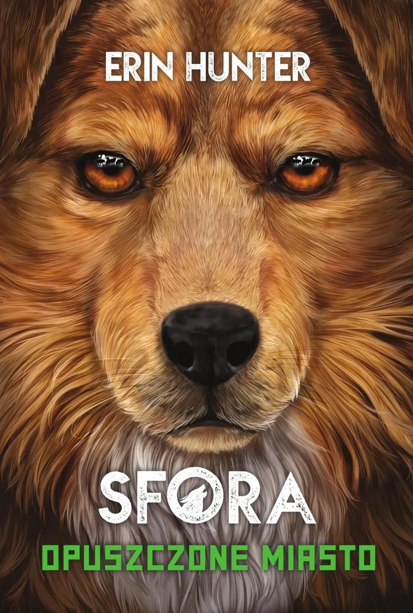 Opuszczone miasto. Sfora. Tom 1 - Ceny i opinie - Ceneo.pl