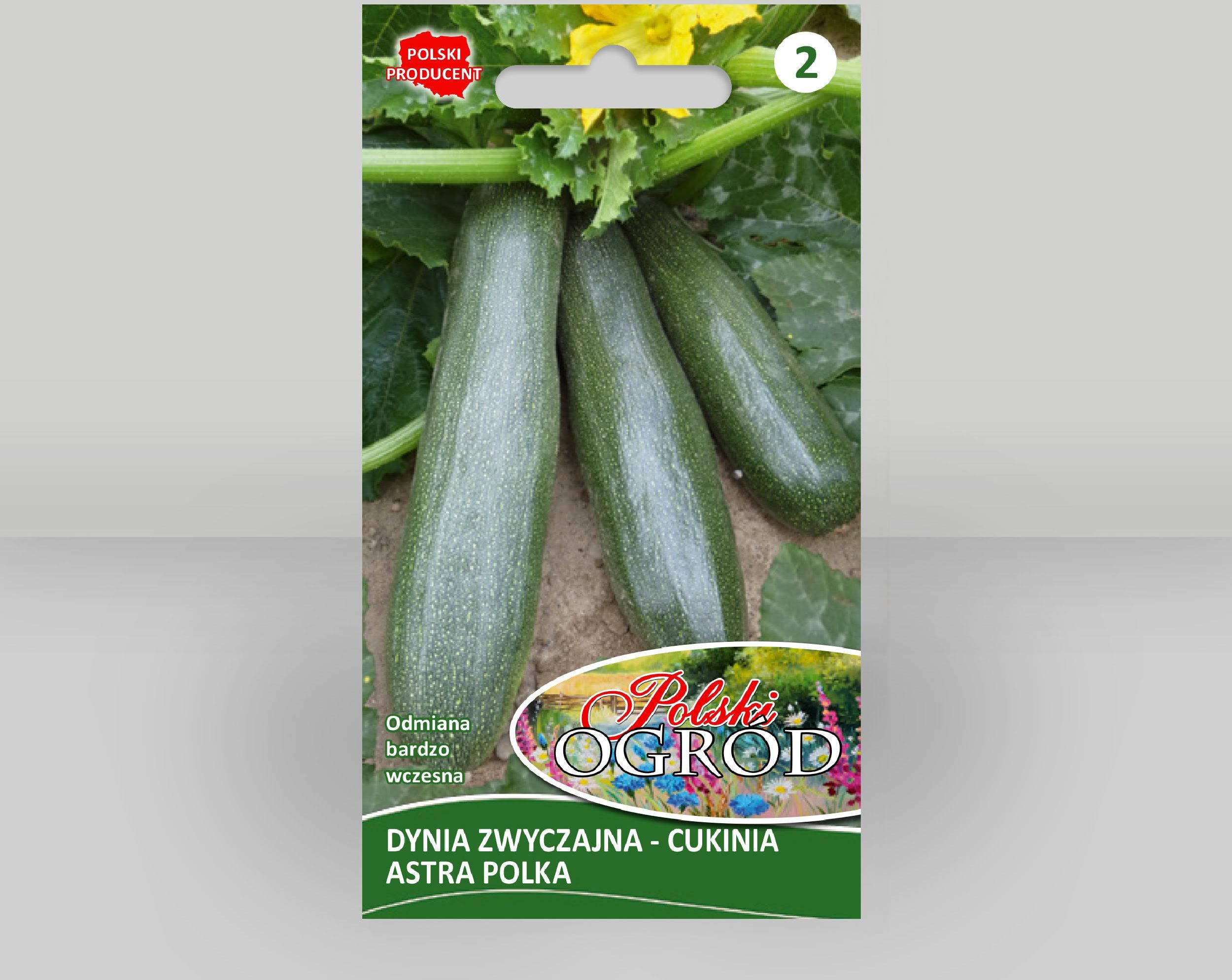 Polski Ogród Dynia Zwyczajna Astra Polka Zielone 3.00G - Ceny i opinie ...