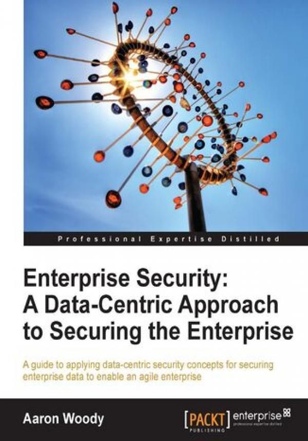 Enterprise Security: A Data-Centric Approach to Securing the Enterprise. A guide to applying ...