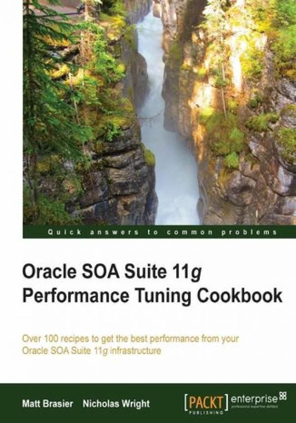 Oracle SOA Suite 11g Performance Tuning Cookbook. Featuring over 100 recipes, this handy ...