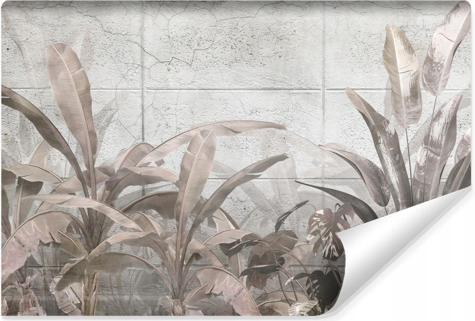 Muralo Fototapeta Do Sypialni Liście Bananowe Rośliny Beton Abstrakcja 368x254 - Opinie i ceny ...