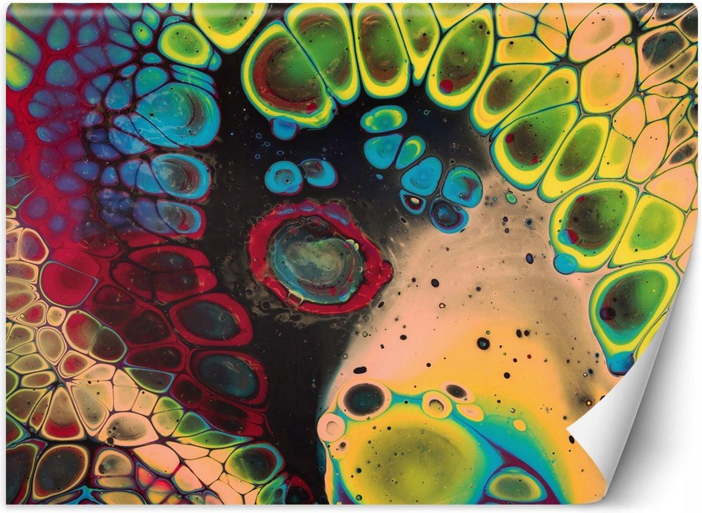 Feeby Fototapeta Tęczy 350x245 - Opinie i ceny na Ceneo.pl