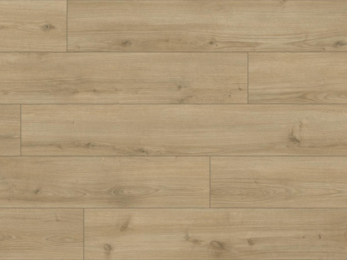 Panele Laminowane Classen Life 4V Wr Dąb Bari 64973 - Opinie i ceny na ...