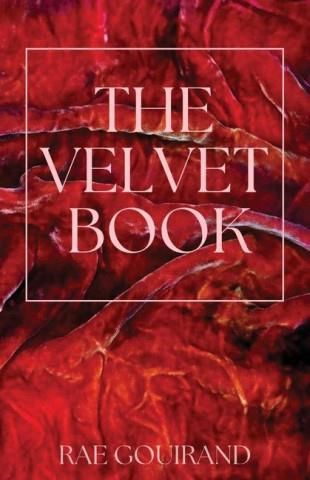 The Velvet Book - Literatura obcojęzyczna - Ceny i opinie - Ceneo.pl