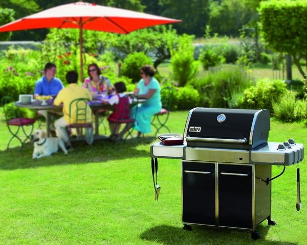 Weber Genesis E 320 (3751033) - Ceny i opinie - Ceneo.pl