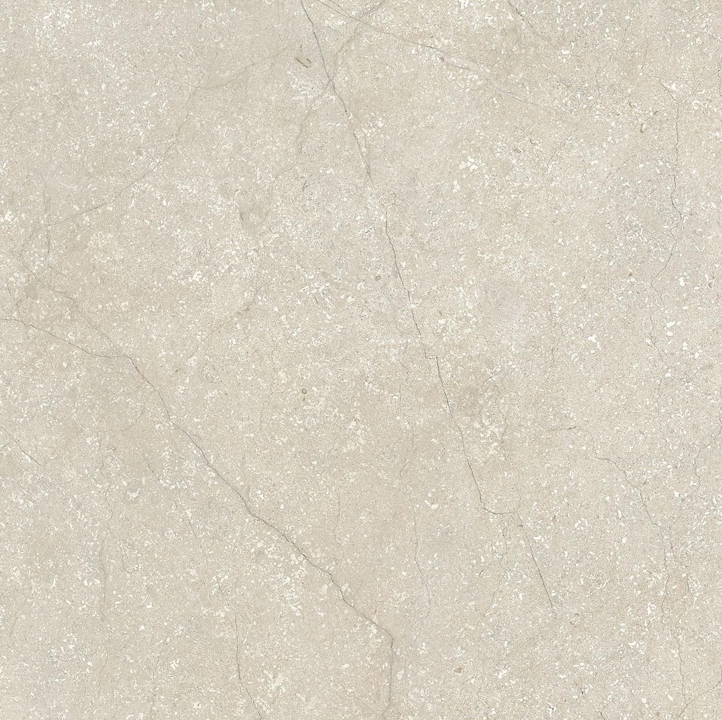 Płytki Florim Stone Life Shell Mat. 60x60 - Opinie i ceny na Ceneo.pl