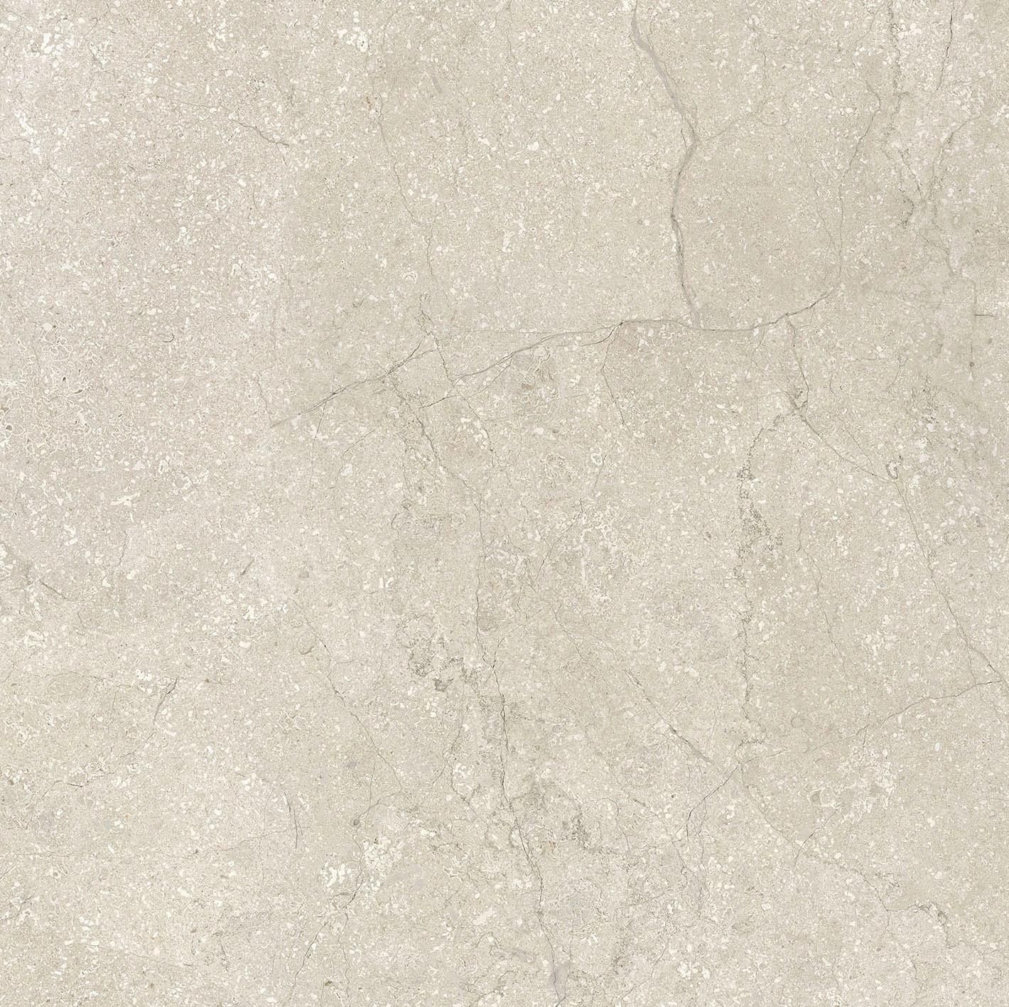 Płytki Florim Stone Life Shell Mat. 60x60 - Opinie i ceny na Ceneo.pl