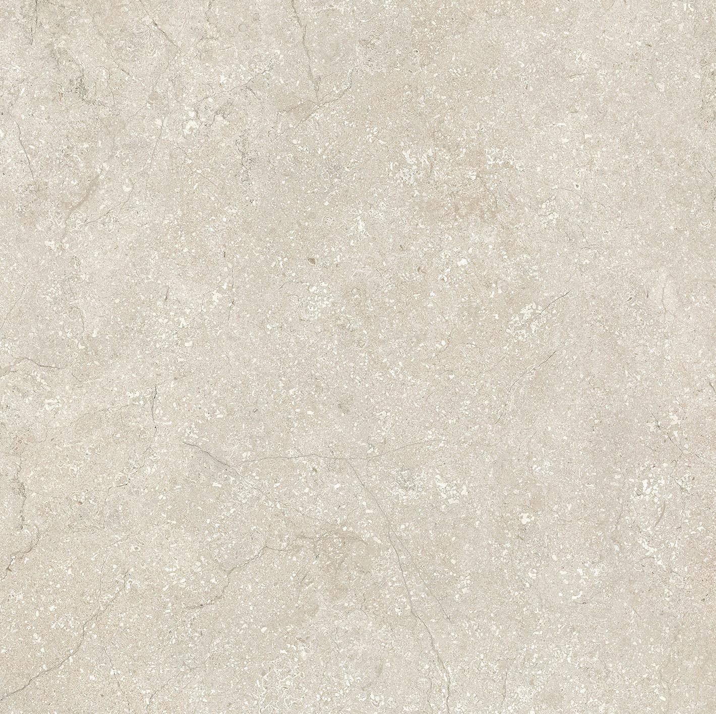 Płytki Florim Stone Life Shell Mat. 60x60 - Opinie i ceny na Ceneo.pl