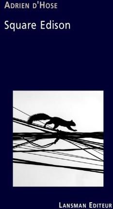 SQUARE EDISON - Literatura obcojęzyczna - Ceny i opinie - Ceneo.pl