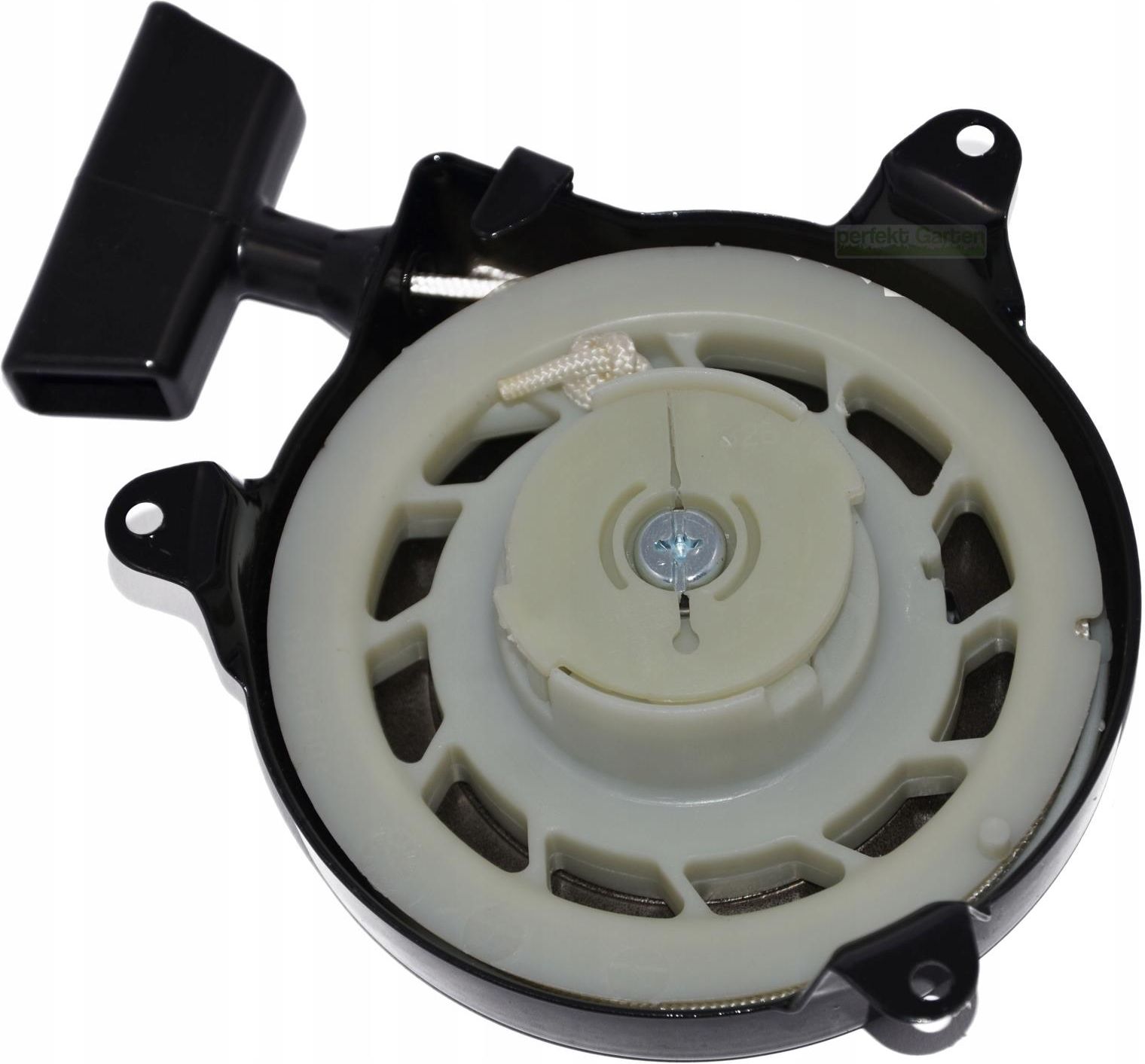 Perfektgarten Szarpak Briggs& Stratton Classic Sprint 690101 - Ceny i ...