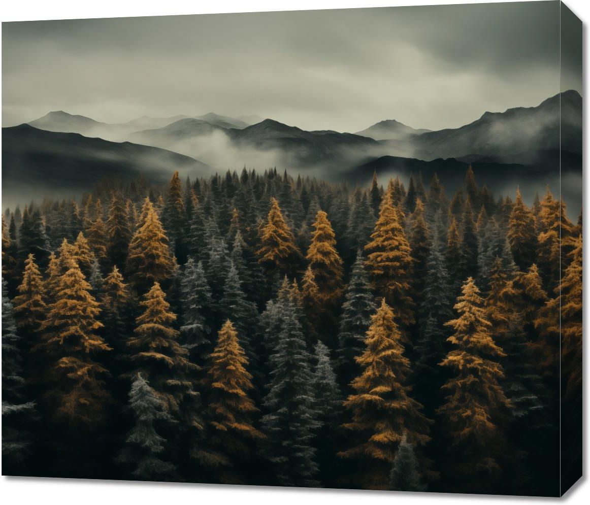 Zakito Posters Obraz 70X60Cm Mglisty Poranek - Opinie i atrakcyjne ceny ...