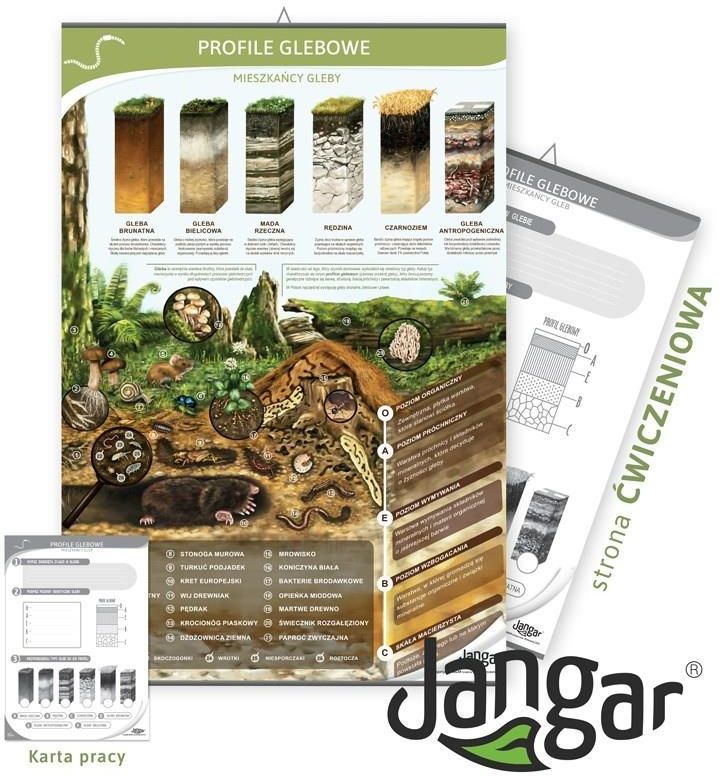 Jangar Plansza Dwustronna: Profile Glebowe, Mieszkańcy Gleby/Strona ...
