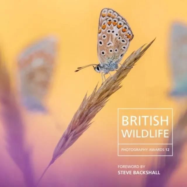 British Wildlife Photography Awards 2024: 12 - Will Nicholls ...
