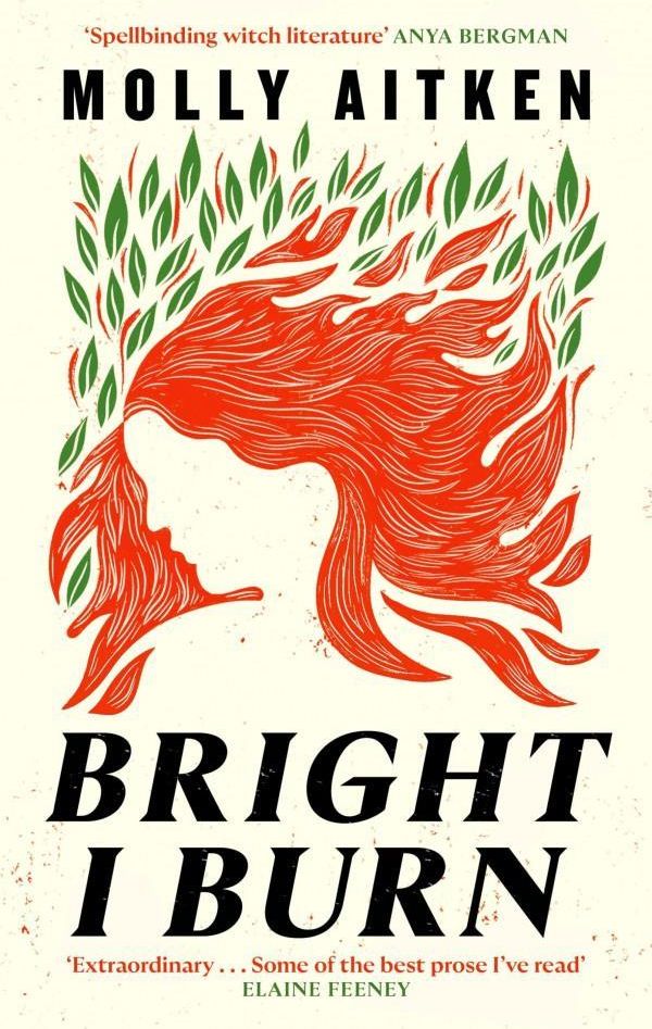 Bright I Burn - Molly Aitken - Literatura obcojęzyczna - Ceny i opinie ...