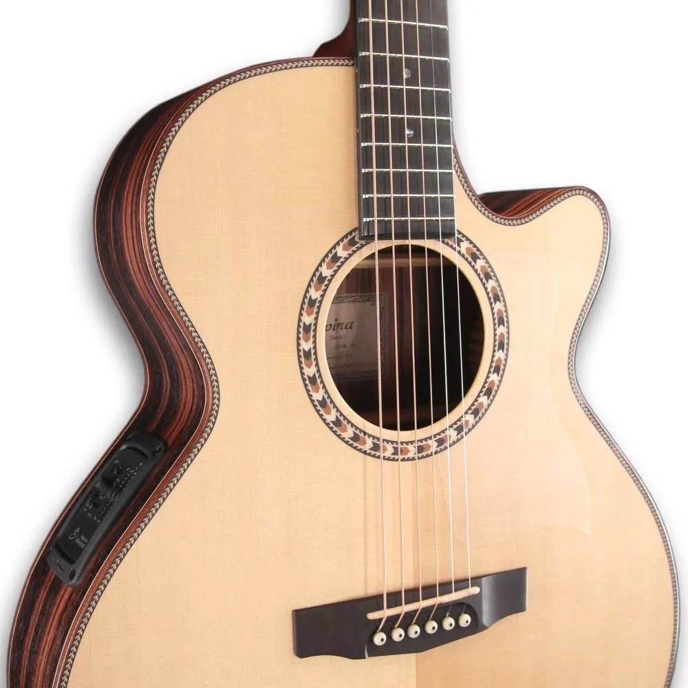 Dowina Bordeaux GACE-ds LR Baggs Stage Pro Element - Ceny i opinie ...