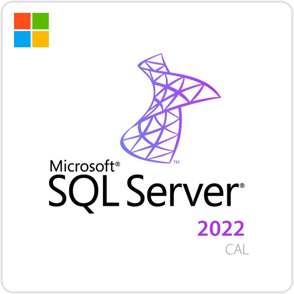 Programy serwerowe Microsoft SQL Server 2022 - 1 User CAL ...