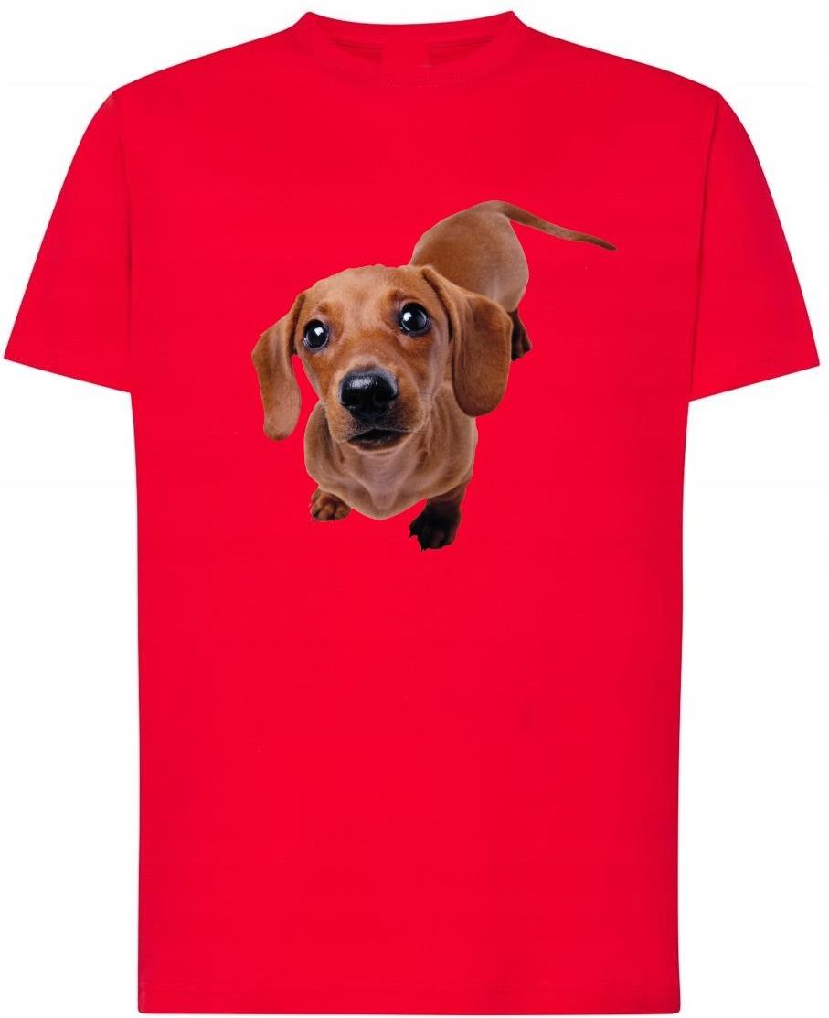 T-Shirt męski nadruk Jamnik Pies r.4XL - Ceny i opinie - Ceneo.pl