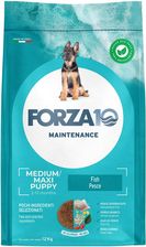 Karma Forza10 Medium/Maxi Maintenance Puppy Junior ryba dla szczeniąt dużych i średnich ras ...