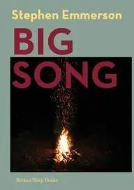 Big Song - Literatura obcojęzyczna - Ceny i opinie - Ceneo.pl