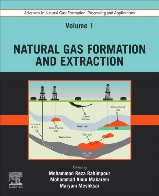 Advances in Natural Gas: Formation, Processing and Applications. Volume ...