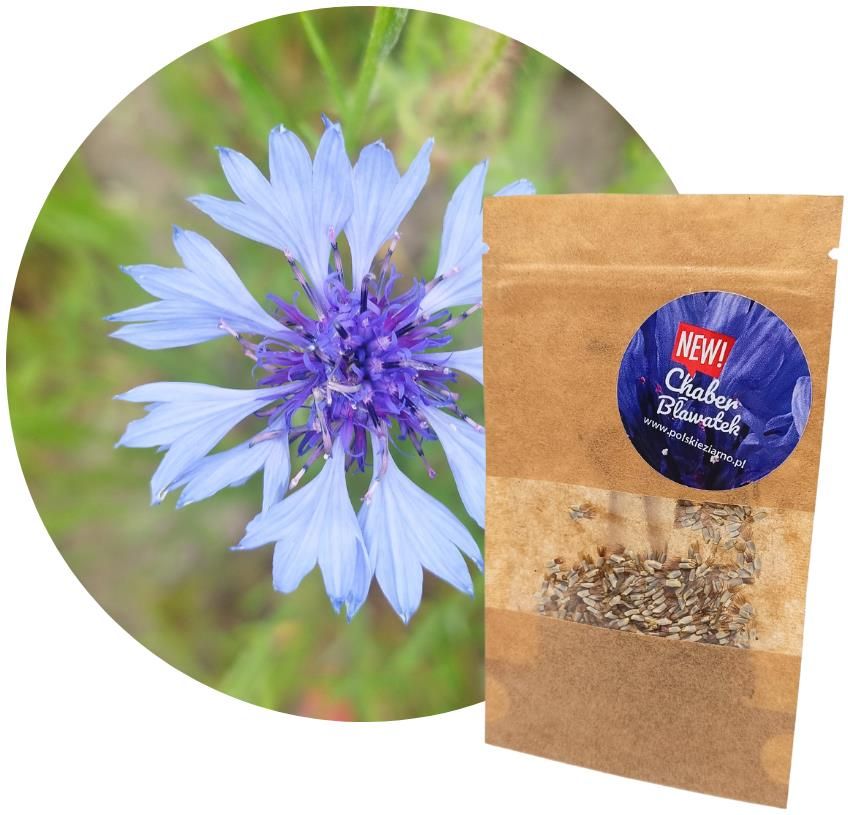 Chaber bławatek - 50gr - Ceny i opinie - Ceneo.pl