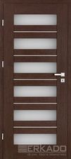 Drzwi wewnętrzne Erkado Floks 1 - Opinie i ceny na Ceneo.pl