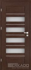 Drzwi wewnętrzne Erkado Floks 1 - Opinie i ceny na Ceneo.pl