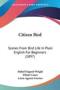 Citizen Bird - Literatura obcojęzyczna - Ceny i opinie - Ceneo.pl