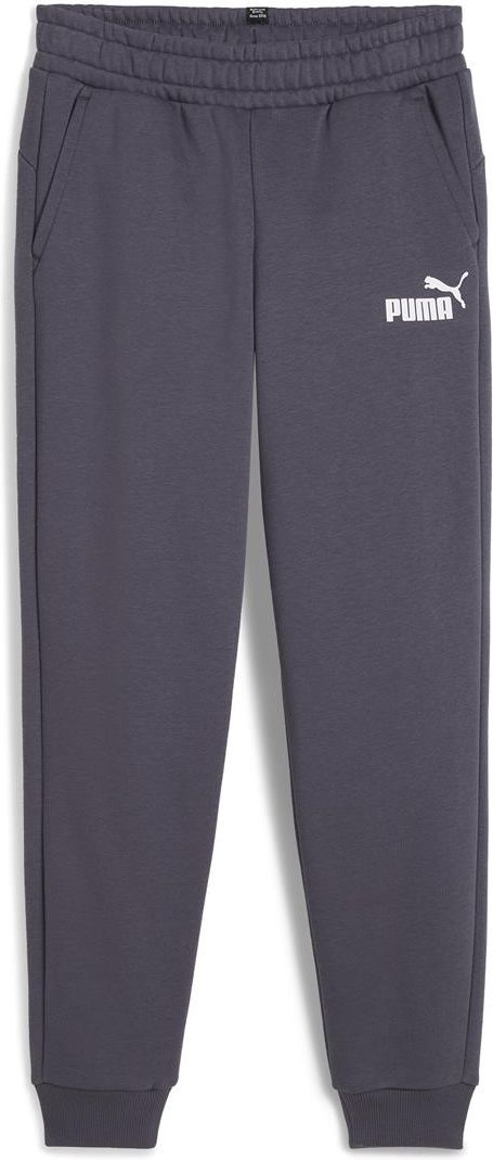 Dziecięce Spodnie Puma Ess Logo Pants FL CL B 58697323 – Szary - Ceny i ...