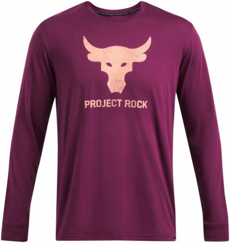 Męski longsleeve treningowy Under Armour Project Rock Brahma Bull Ls ...